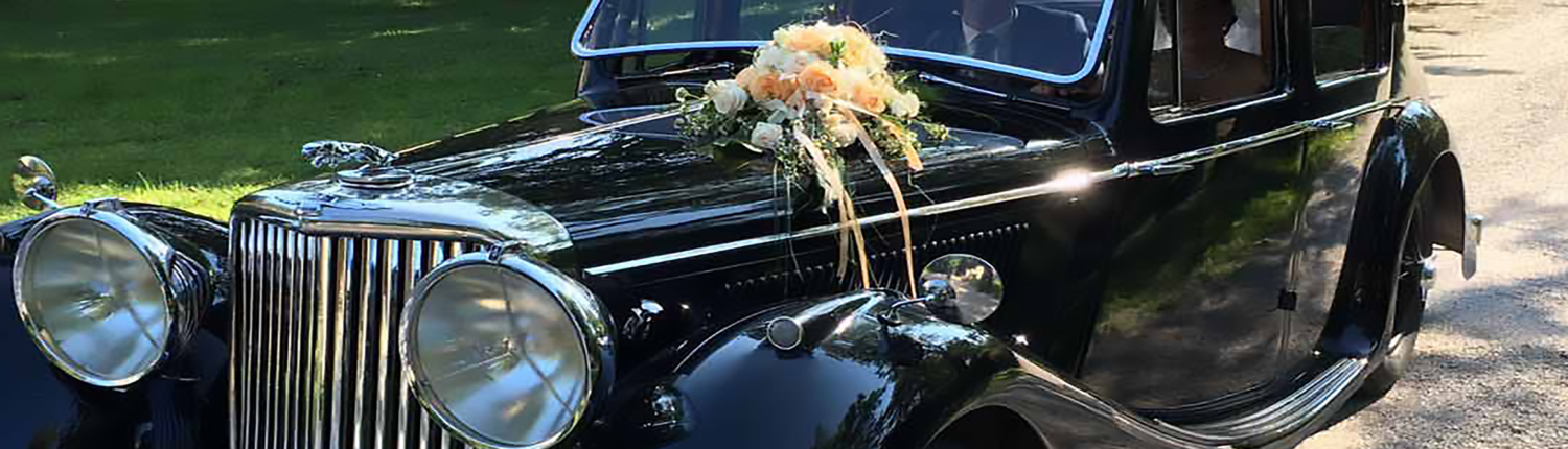 Homepage - Vienna Cars